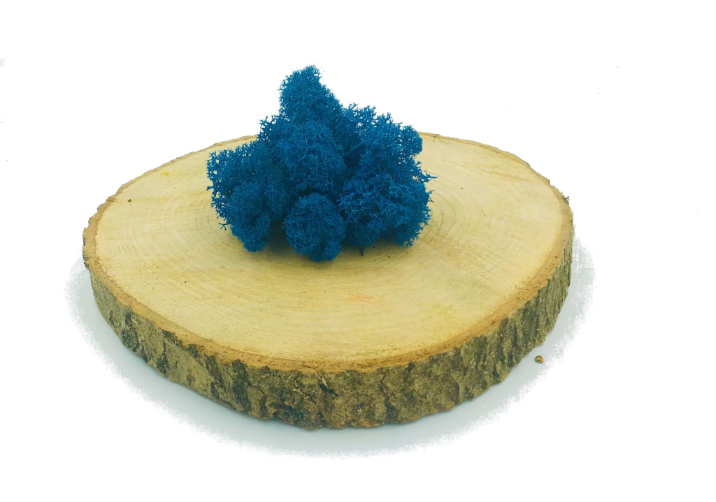 Purified FINNISH Reindeer Moss Blue, 2kg Box, 100% Real, Natural Moss ...